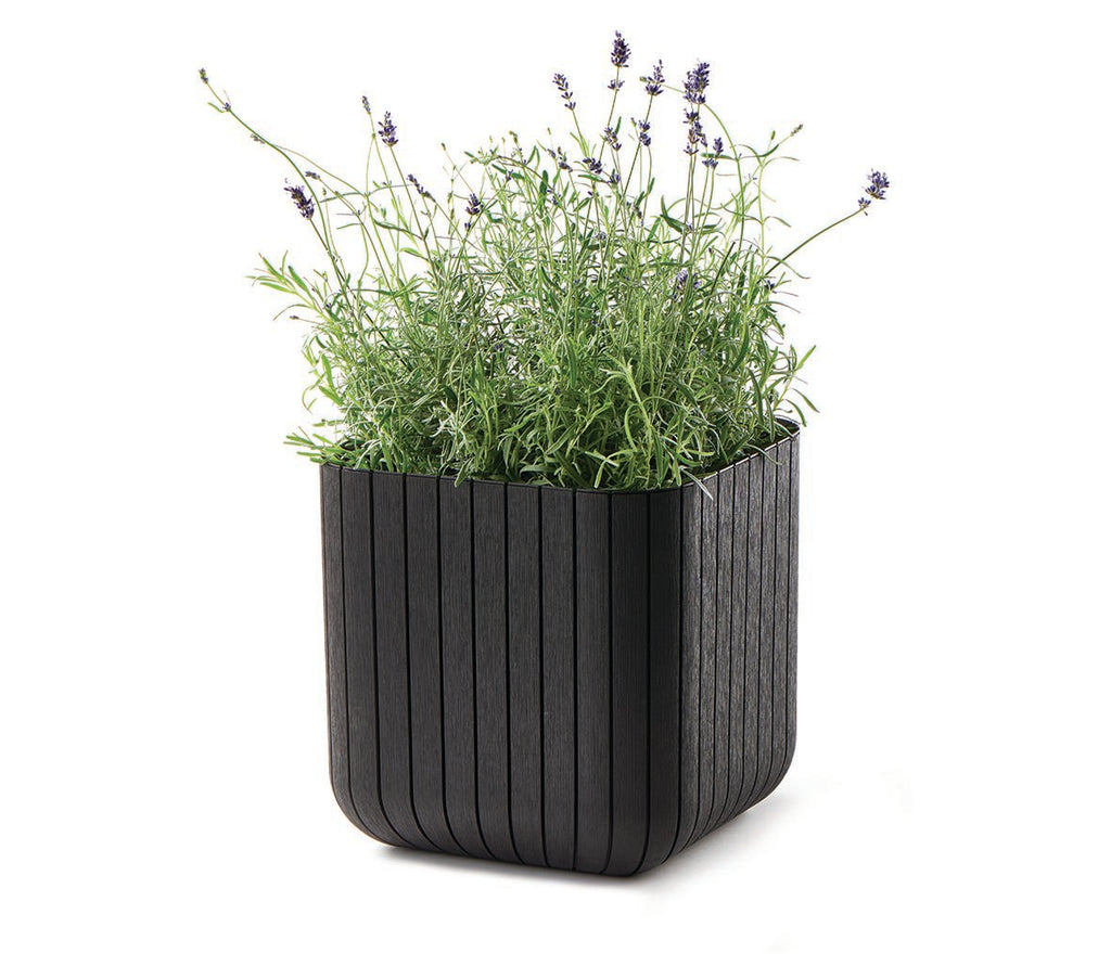 Keter Cube Planter - Brown – Keter Australia